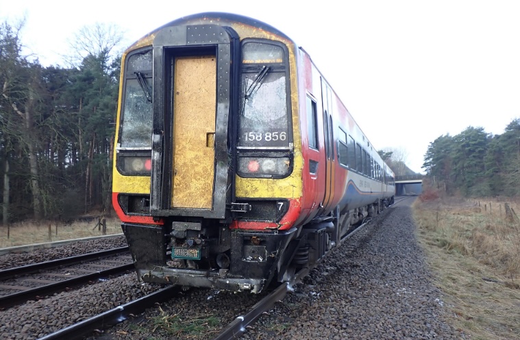 UK RAIB Offers Recommendations for Tree Management Near Rail Lines ...